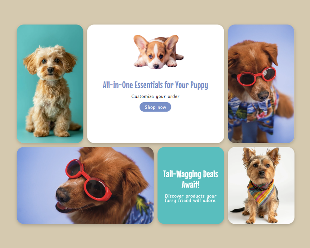 Bento Grid Section for Shopify | Customizable & Engaging Layout ...